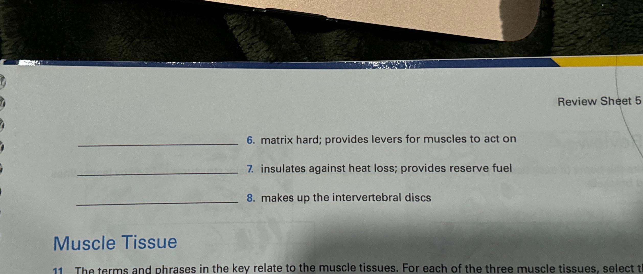 Solved Review Sheet 56. ﻿matrix hard; provides levers for | Chegg.com