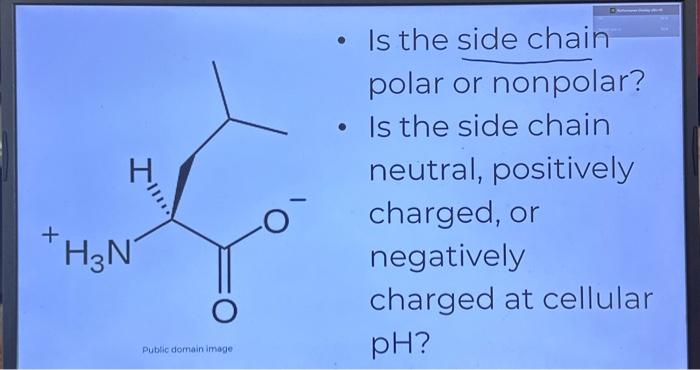 Solved Is the side chain polar or nonpolar? Is the side | Chegg.com