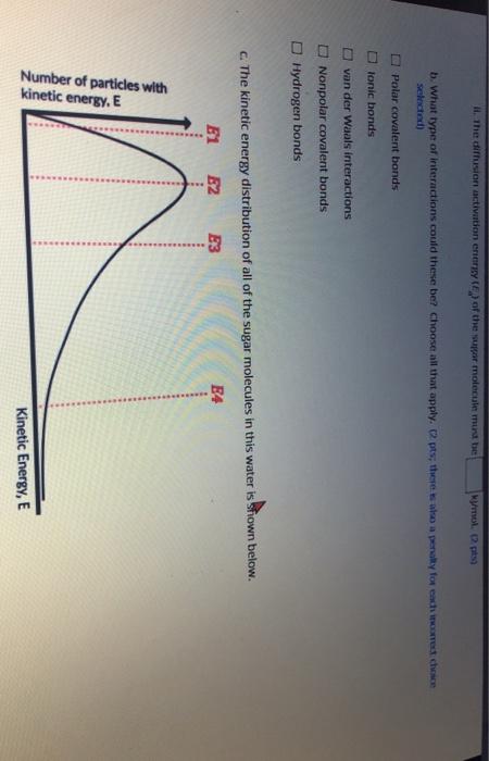 Solved A sugar molecule (Cat...) con diffuse freely in water | Chegg.com