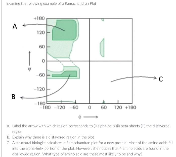 Solved Examine the following example of a Ramachandran Plot | Chegg.com