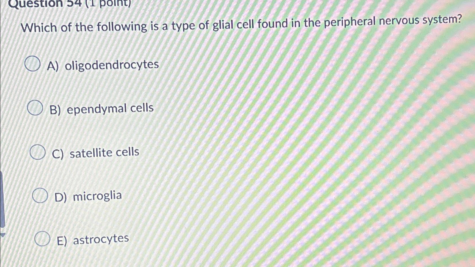 Solved Which of the following is a type of glial cell found | Chegg.com