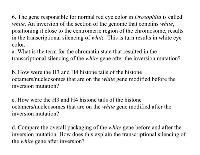 6. The gene responsible for normal red eye color in | Chegg.com