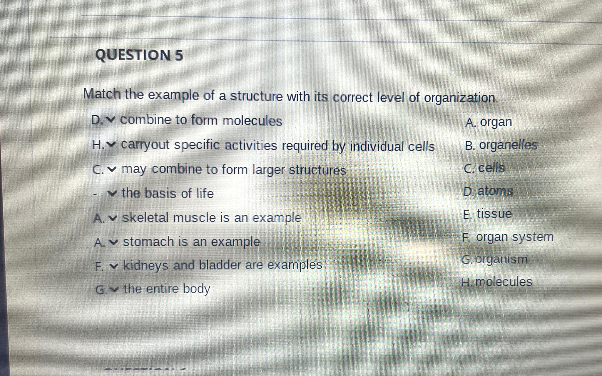 Solved QUESTION 5Match the example of a structure with its | Chegg.com
