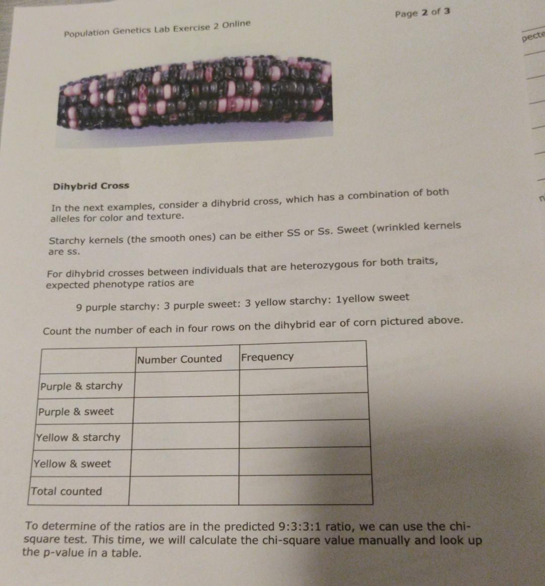 Page 1 of 3 Population Genetics Lab Exercise 2 Online | Chegg.com