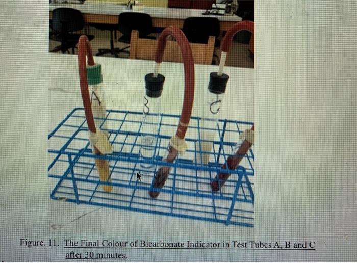 Solved Figure. 8. Experimental set-up for yeast fermentation | Chegg.com