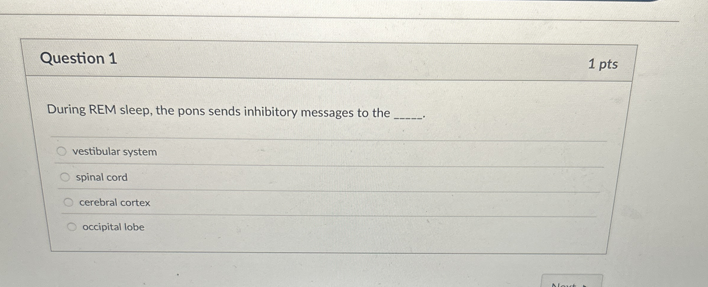 Solved Question 11 ﻿ptsDuring REM sleep, the pons sends | Chegg.com