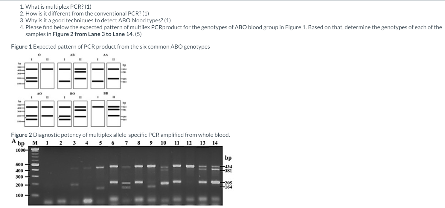 Solved What is multiplex PCR? (1)How is it different from | Chegg.com