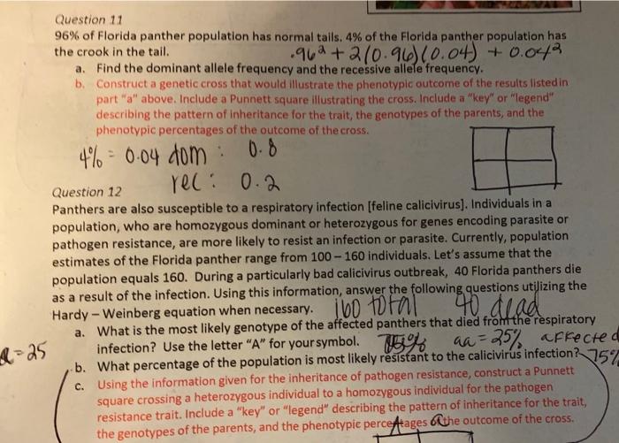 Solved Question 11 96% of Florida panther population has | Chegg.com