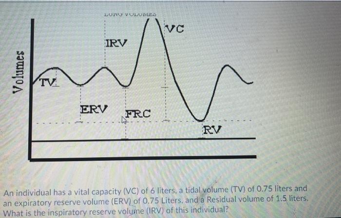 Solved UM VOLUMES Vc IRV TV ERV PRC RV An individual has a | Chegg.com
