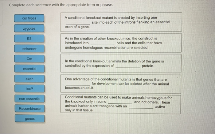 Solved Complete each sentence with the appropriate term or | Chegg.com