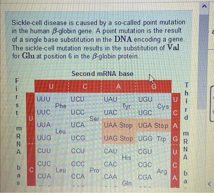 Solved Sickle-cell disease is caused by a so-called point | Chegg.com