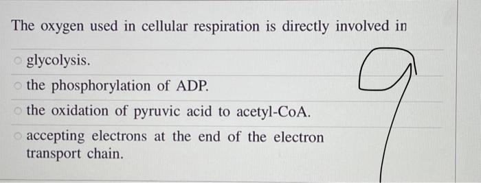 Solved This equation represents a process that occurs in | Chegg.com