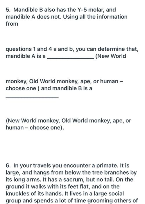Solved 1. What is the dental formula of mandible A below: | Chegg.com
