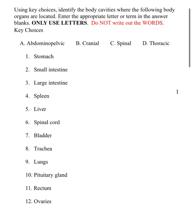 Solved Using key choices, identify the body cavities where | Chegg.com