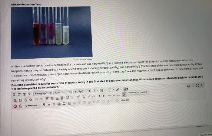 Solved Nitrate Reduction Test A nitrate reduction test is | Chegg.com