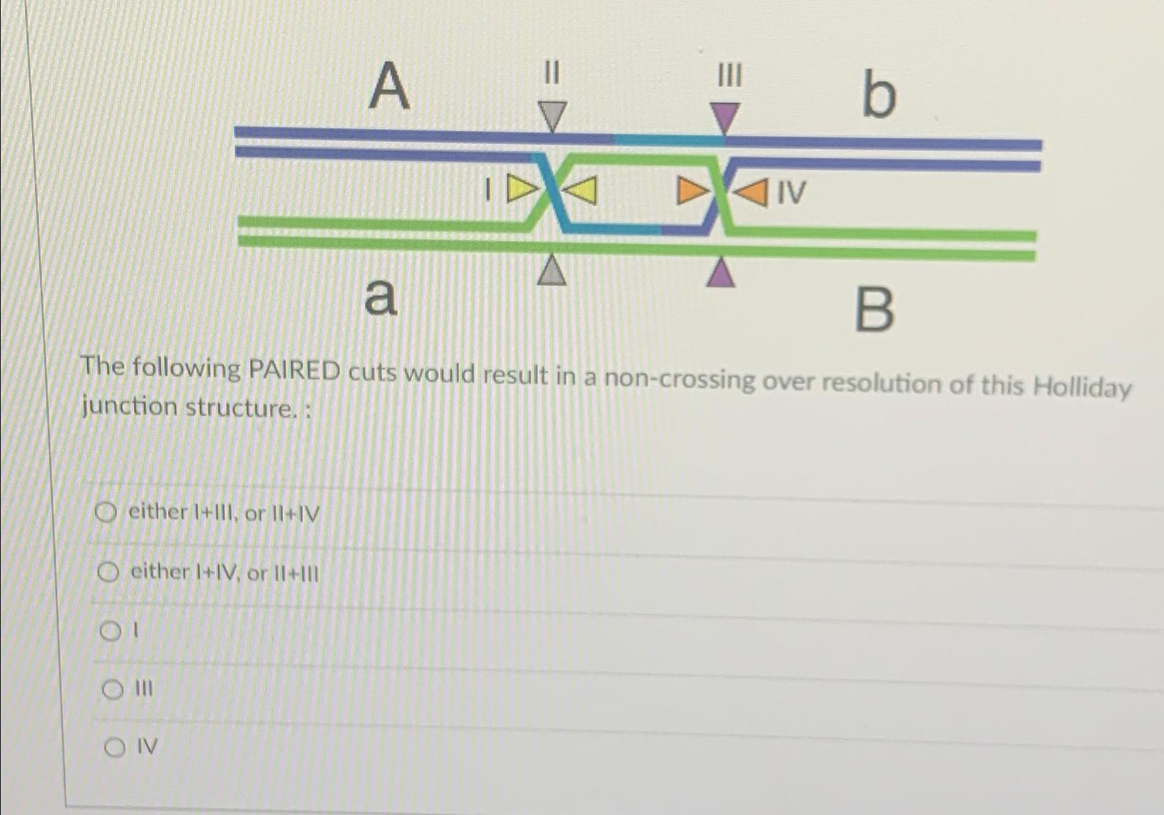 Solved Which of the following PAIRED cuts would result in a | Chegg.com