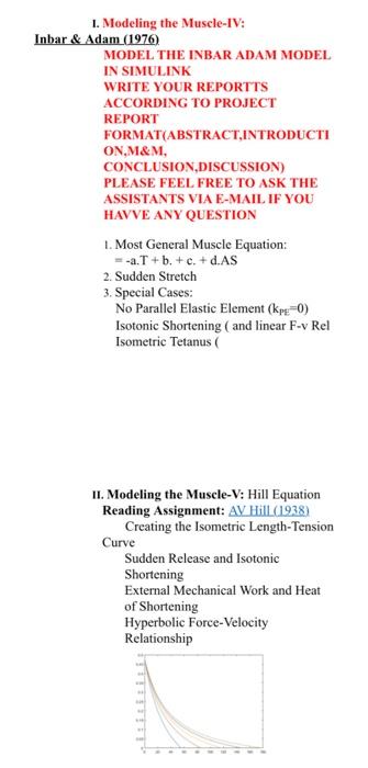 1. Modeling the Muscle-IV: Inbar & Adam (1976) MODEL | Chegg.com