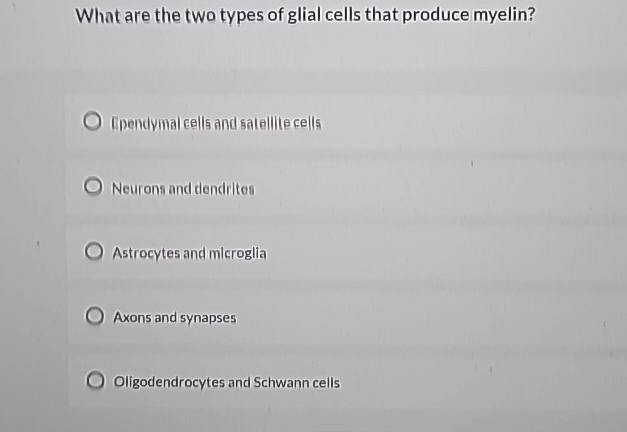 Solved What are the two types of glial cells that produce | Chegg.com