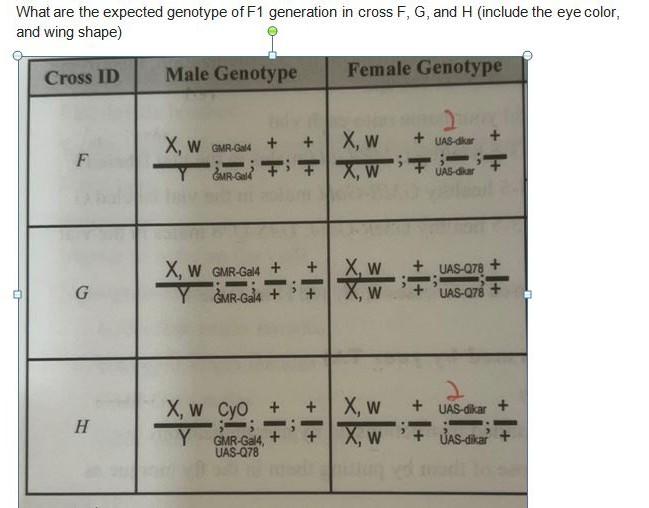 What are the expected genotype of F1 generation in | Chegg.com