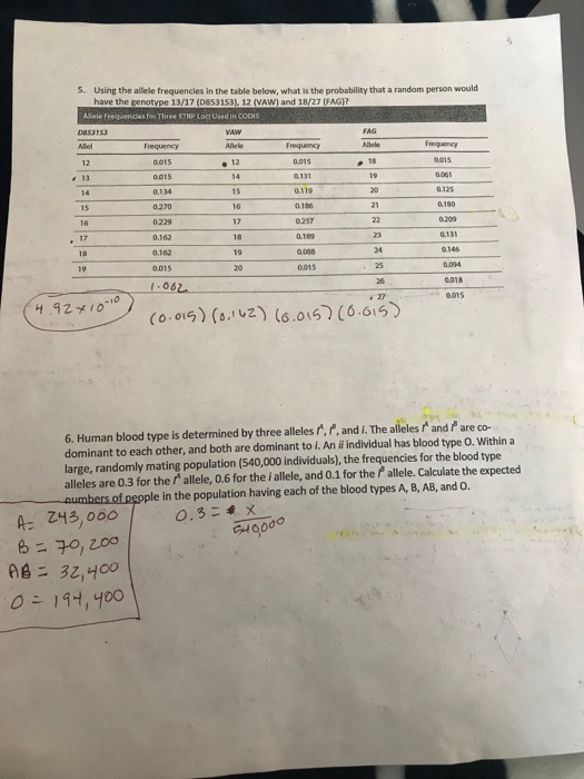 Solved 5. Using the allele frequencies in the table below, | Chegg.com