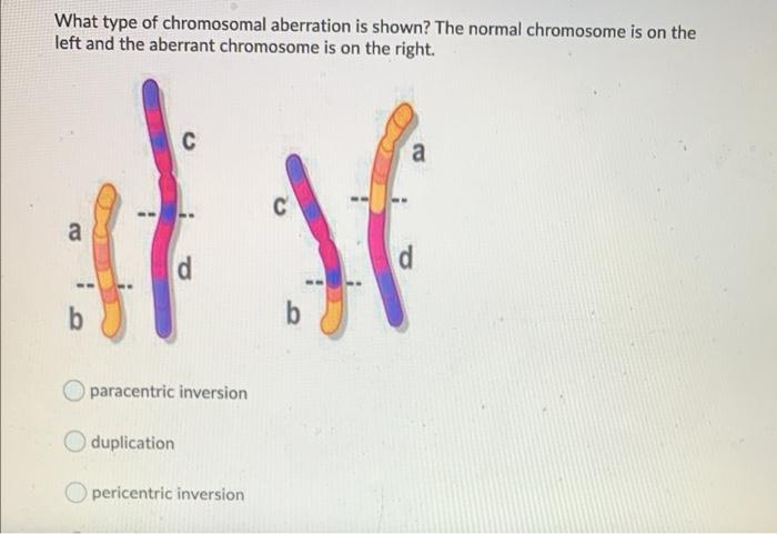 [Solved]: other options include deletion and translocation&n