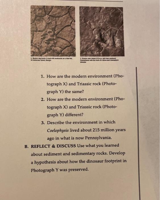 Solved Sedimentary Rock Inquiry Name: Course/Section: Date: | Chegg.com