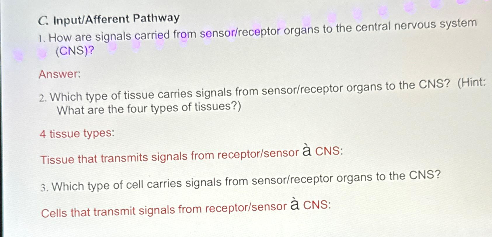 Solved C. ﻿Input/Afferent PathwayHow are signals carried | Chegg.com