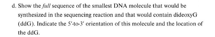 Solved 22. You use the primer 5 ' GCCTCGAATCGGGTACC 3′ to | Chegg.com