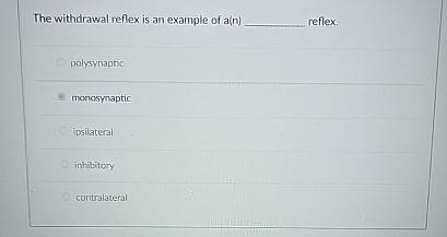 Solved The withdrawal reflex is an example of a(n) | Chegg.com