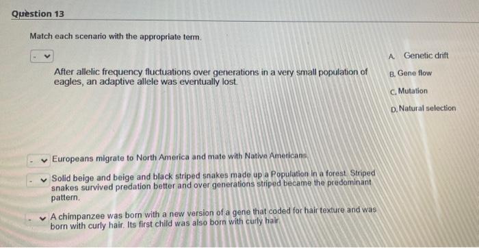Solved Match each scenario with the appropriate term. After | Chegg.com