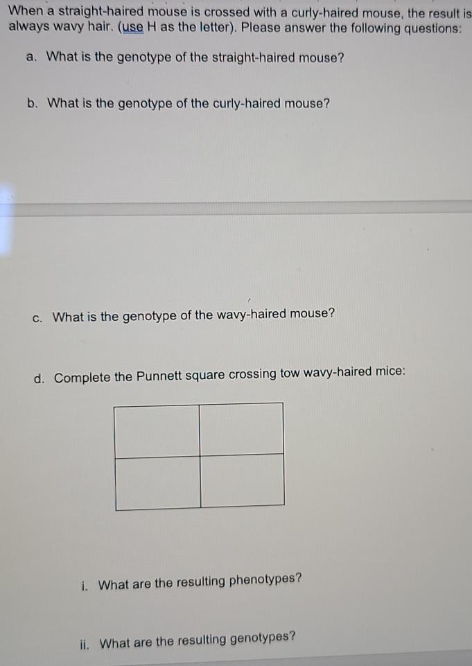 Solved When a straight-haired mouse is crossed with a | Chegg.com