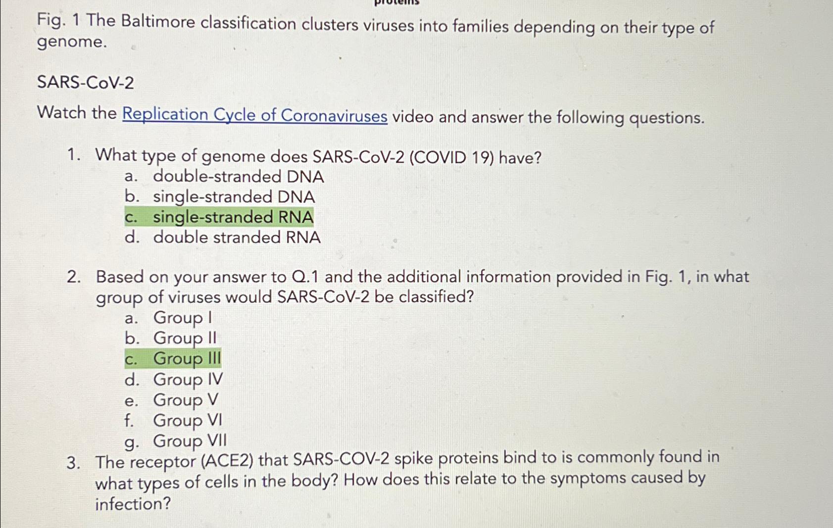 Solved Fig. 1 ﻿The Baltimore classification clusters viruses | Chegg.com