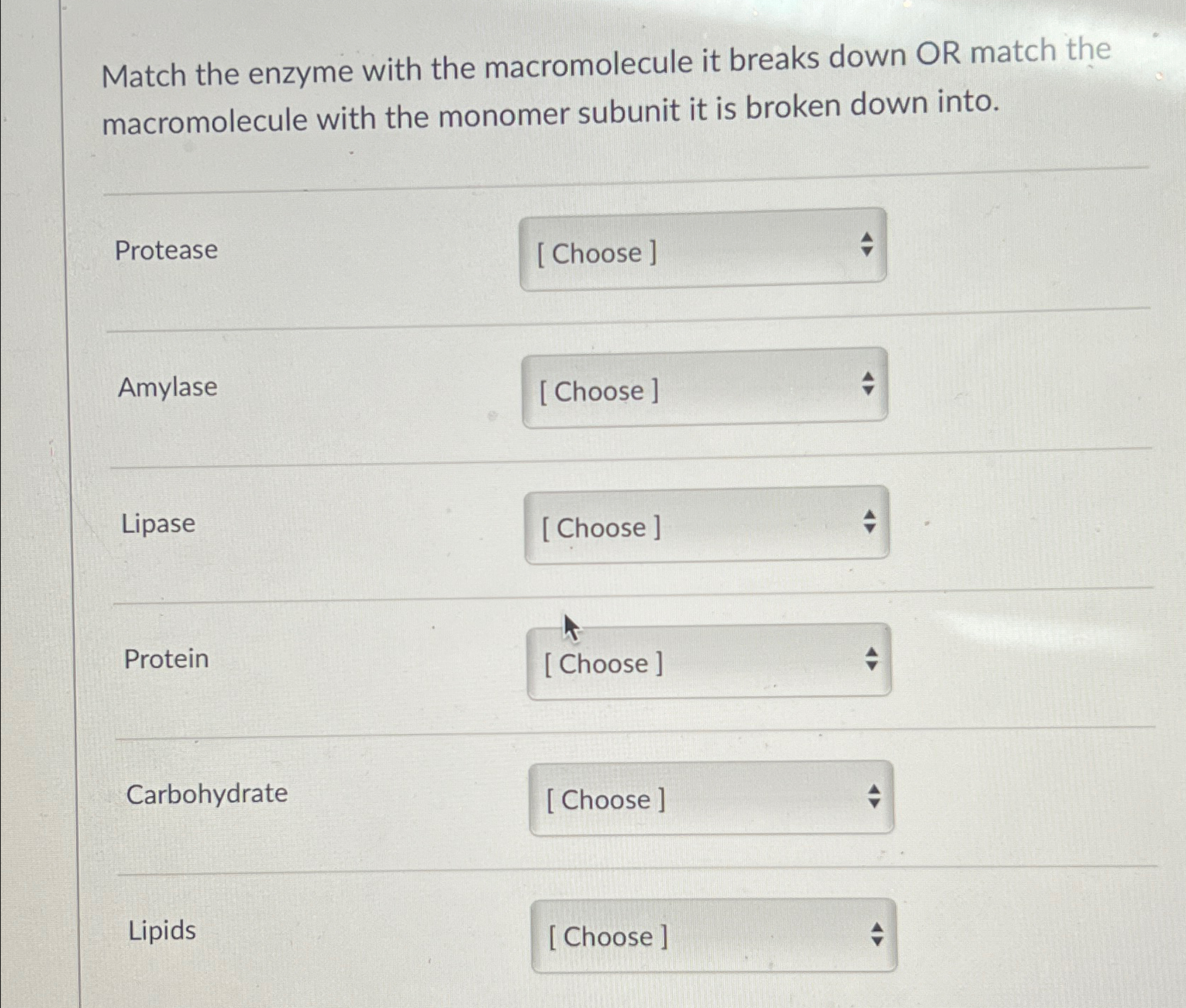 Solved Match the enzyme with the macromolecule it breaks | Chegg.com