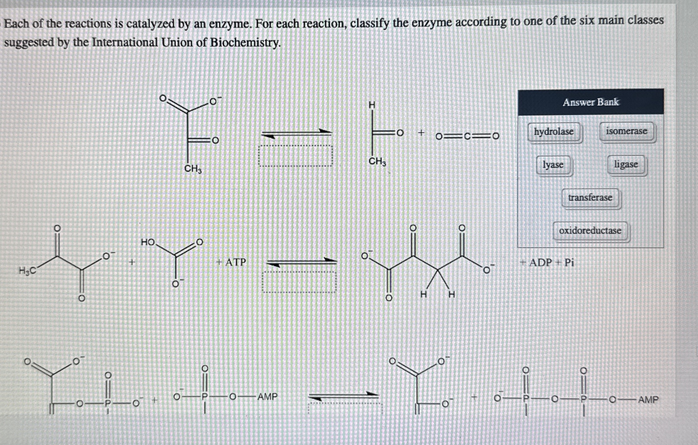 Complete the diagram of the mechanism of a general | Chegg.com