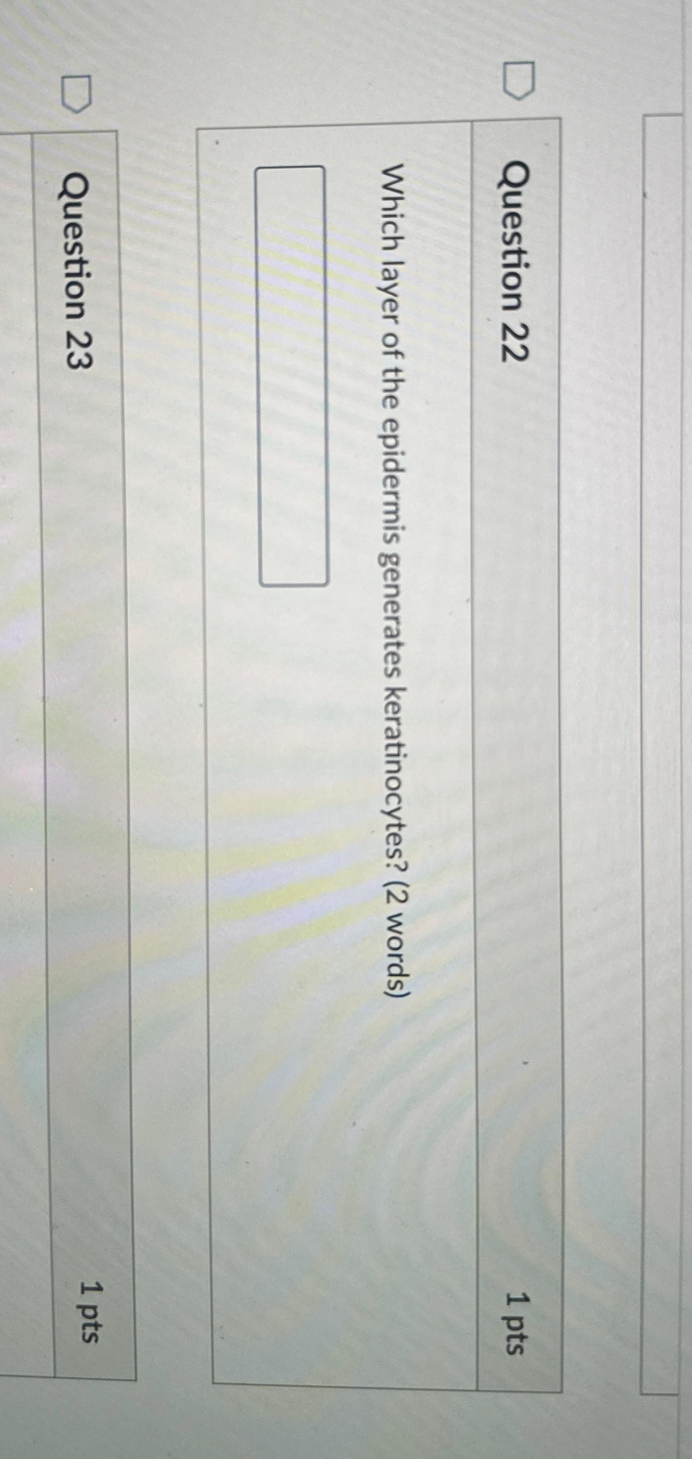 Solved Question 221 ptsWhich layer of the epidermis | Chegg.com Solved Question 221 ptsWhich layer of the epidermis | Chegg.com