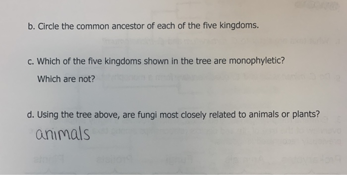 Solved 3. Examine the phylogenetic tree below, which | Chegg.com