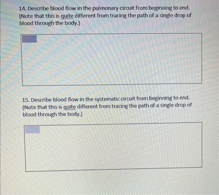 Solved 14. Describe blood flow in the pulmonary circuit from | Chegg.com