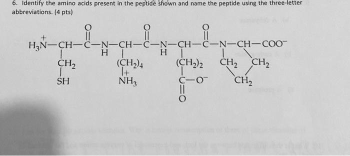Solved 6. Identify the amino acids present in the peptide | Chegg.com