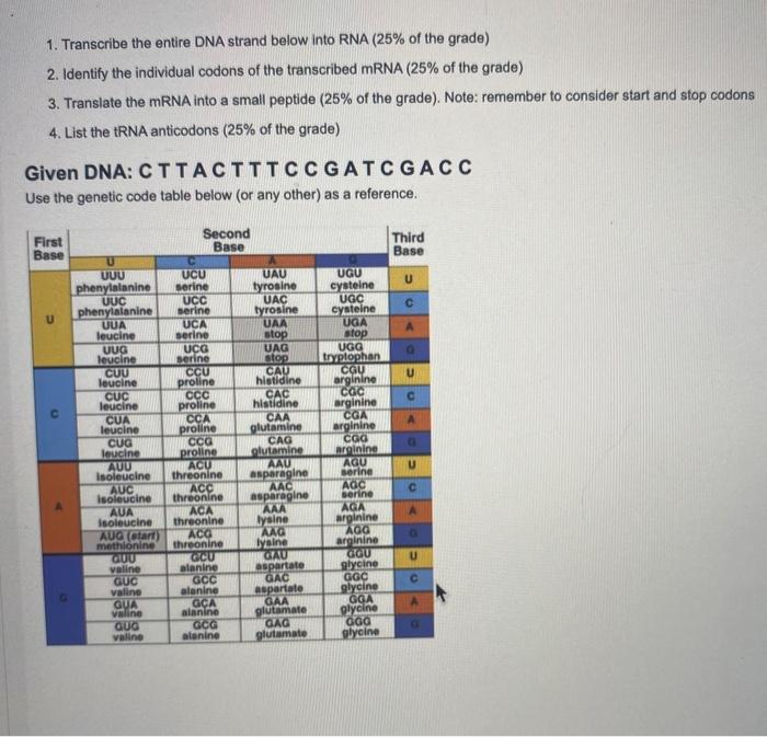 Solved 1. Transcribe the entire DNA strand below into RNA ( | Chegg.com