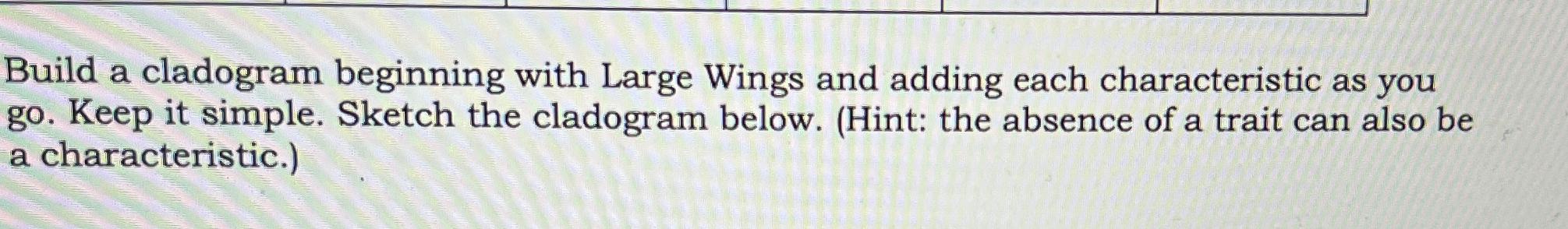 Solved Build a cladogram beginning with Large Wings and | Chegg.com