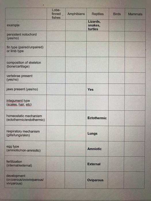 Solved 2021 Spring System Rat Quail External Anatomy | Chegg.com
