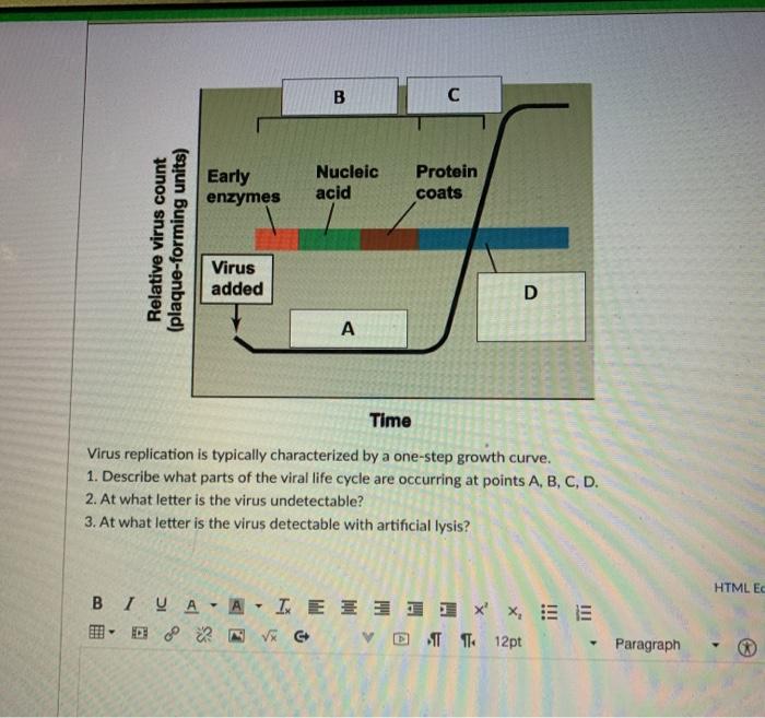Solved B с Early enzymes Nucleic acid Protein coats Relative | Chegg.com