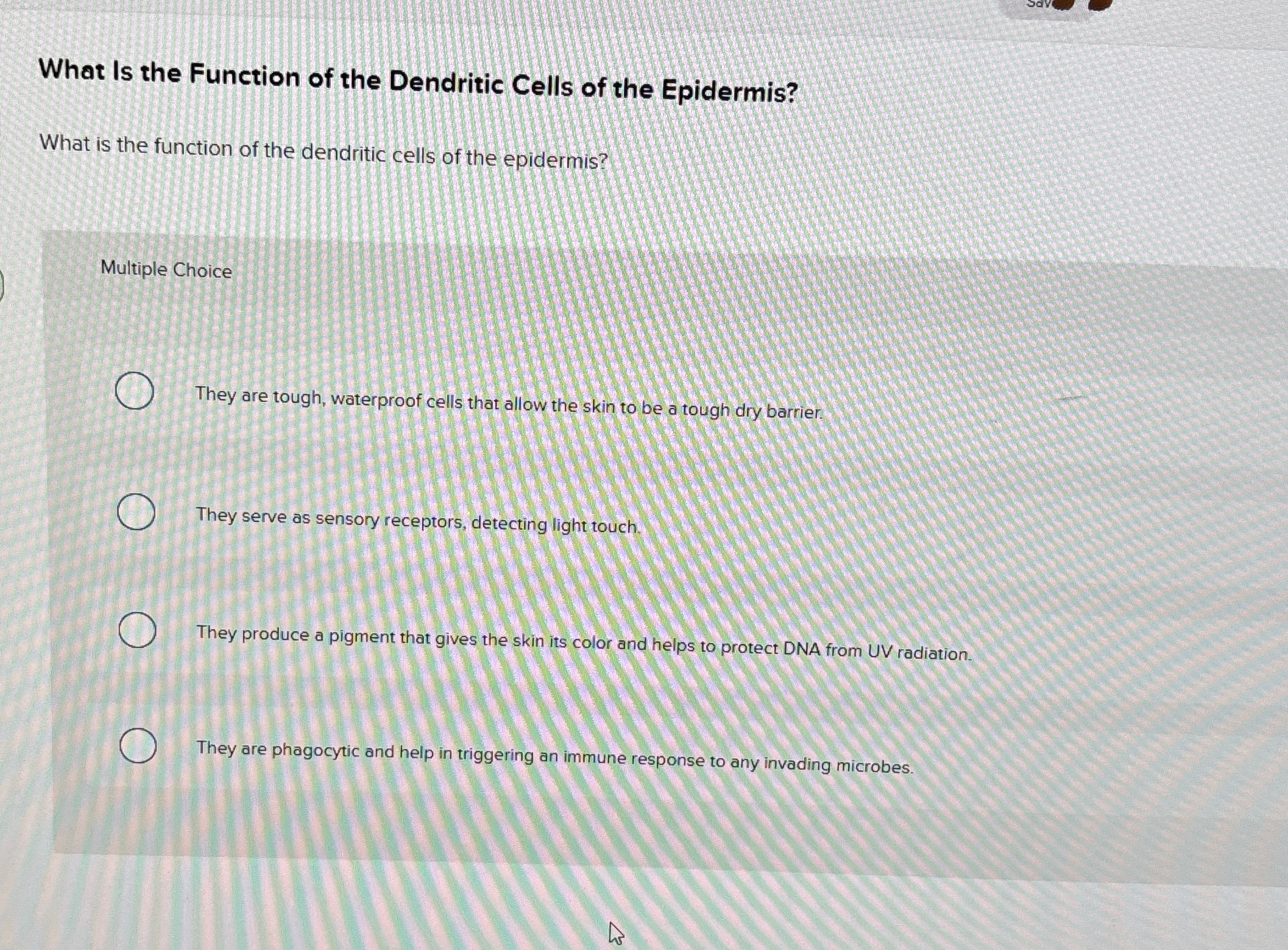 Solved What Is the Function of the Dendritic Cells of the | Chegg.com