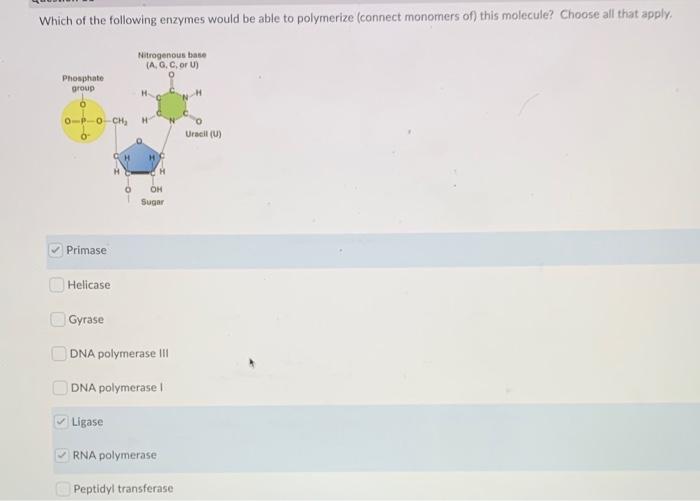 Solved Which of the following enzymes would be able to | Chegg.com