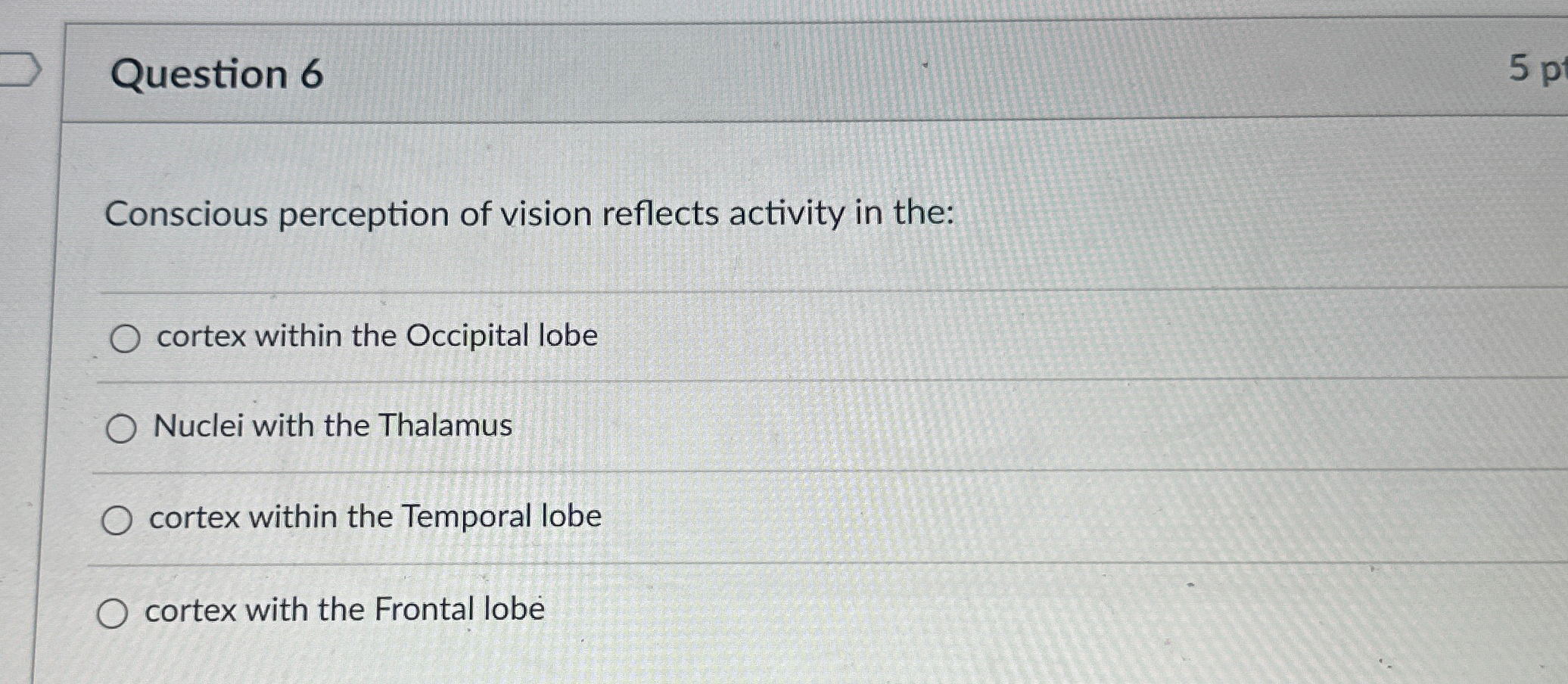 Solved Question 6Conscious perception of vision reflects | Chegg.com