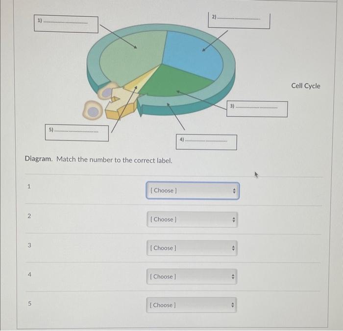 Solved Diagram. Match the number to the correct label. | Chegg.com