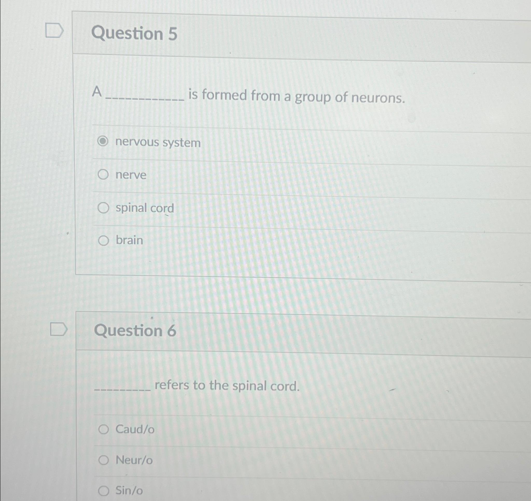 Solved Question 5A is formed from a group of neurons.nervous | Chegg.com