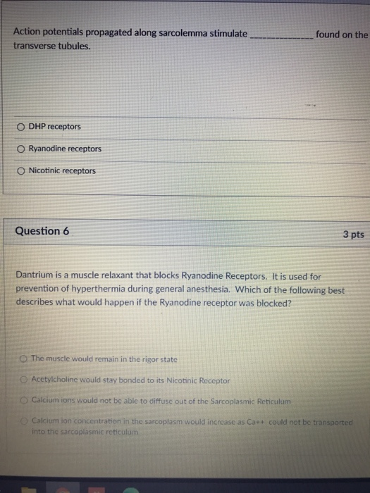 Solved Action potentials propagated along sarcolemma | Chegg.com