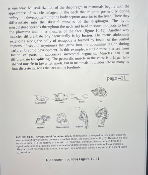 Solved FIGURE 10.40 Electric organs. The electric organs are | Chegg.com