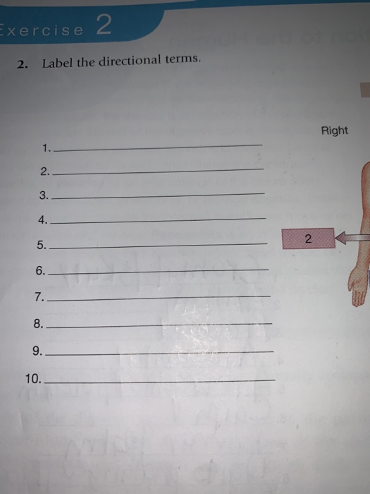 Solved xercise 2 2. Label the directional terms. Right | Chegg.com Solved xercise 2 2. Label the directional terms. Right | Chegg.com